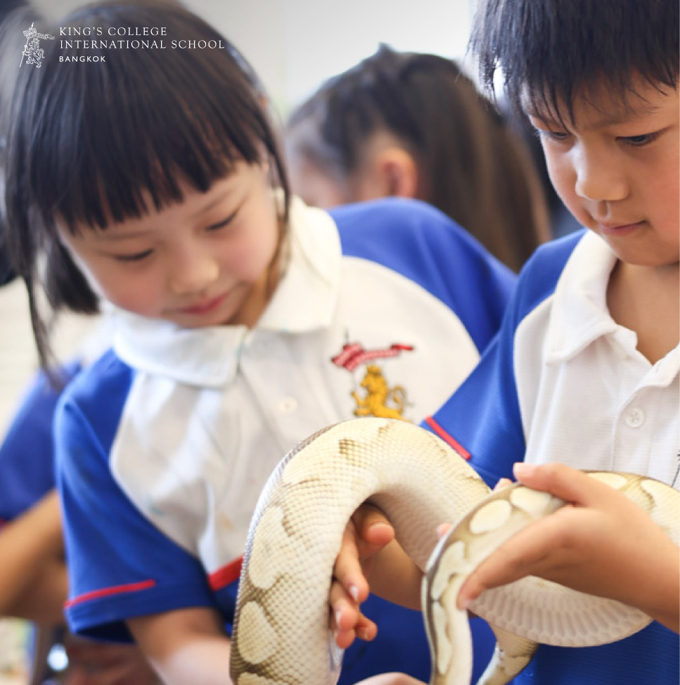 A close-up petting experience with snakes and lizards wowed our young ...